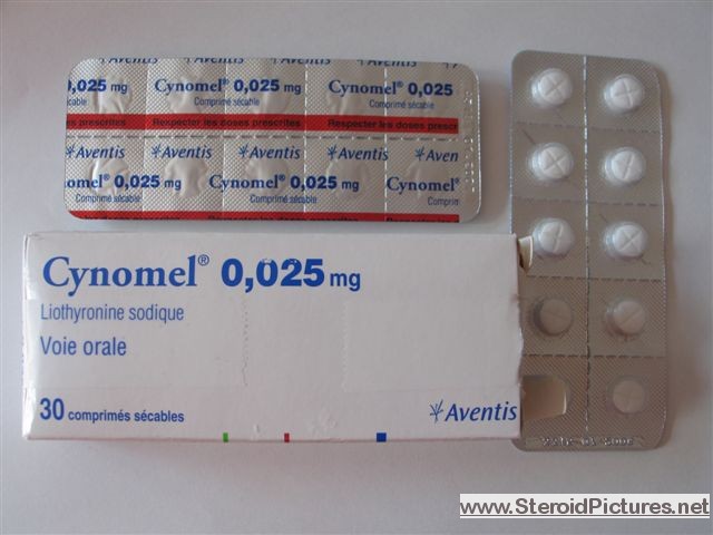 Cytomel Pictures | Pictures Of Cytomel T3