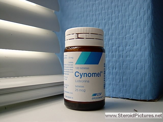 Cytomel Pictures | Pictures Of Cytomel T3