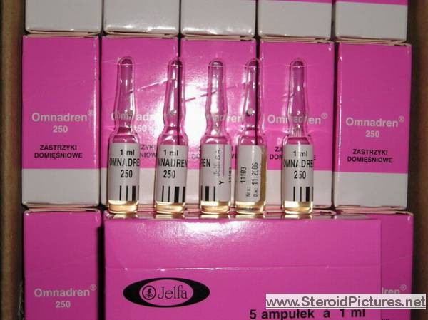 Omnadren Pictures | Pictures Of Omnadren Steroids