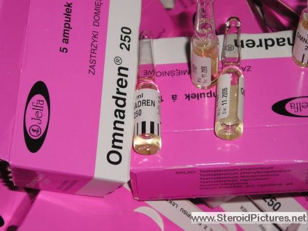 Omnadren Pictures | Pictures Of Omnadren Steroids
