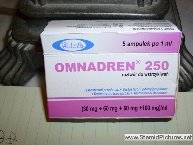 Omnadren Pictures | Pictures Of Omnadren Steroids