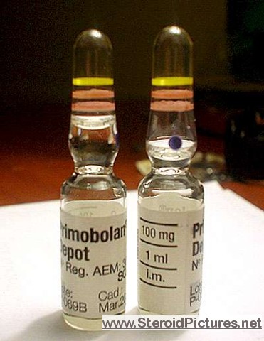 Primobolan Pictures | Pictures Of Primobolan