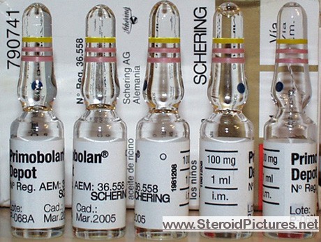 Primobolan Pictures | Pictures Of Primobolan