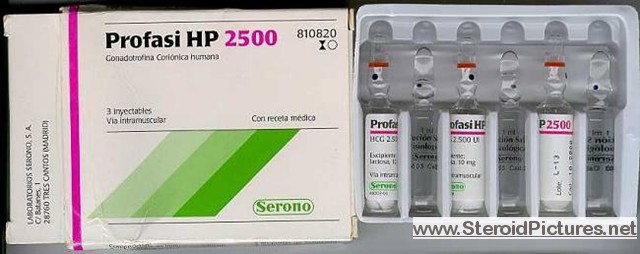 HCG Pictures | Pictures Of HCG Steroids